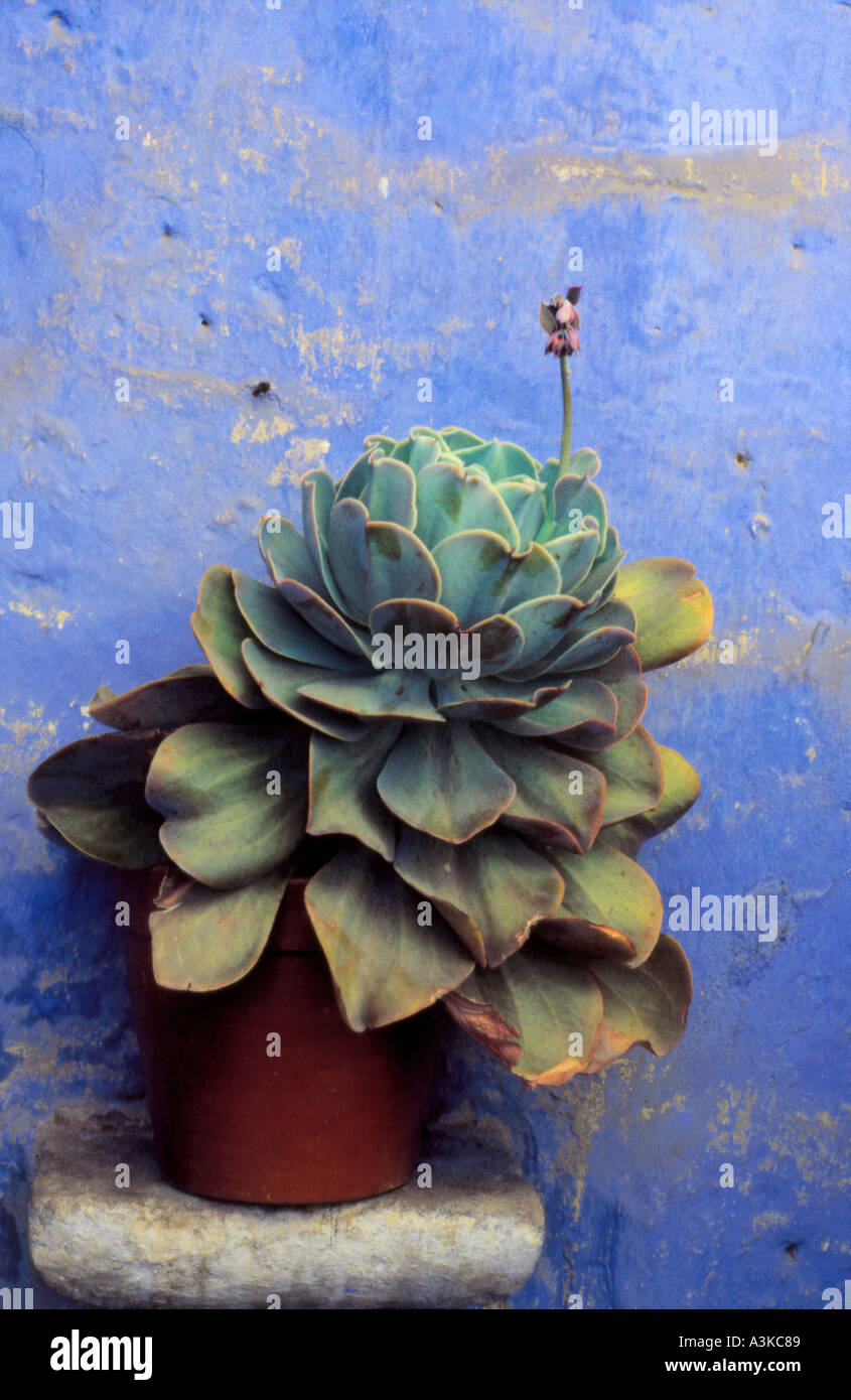 Arequipa peru vase hi-res stock photography and images - Alamy