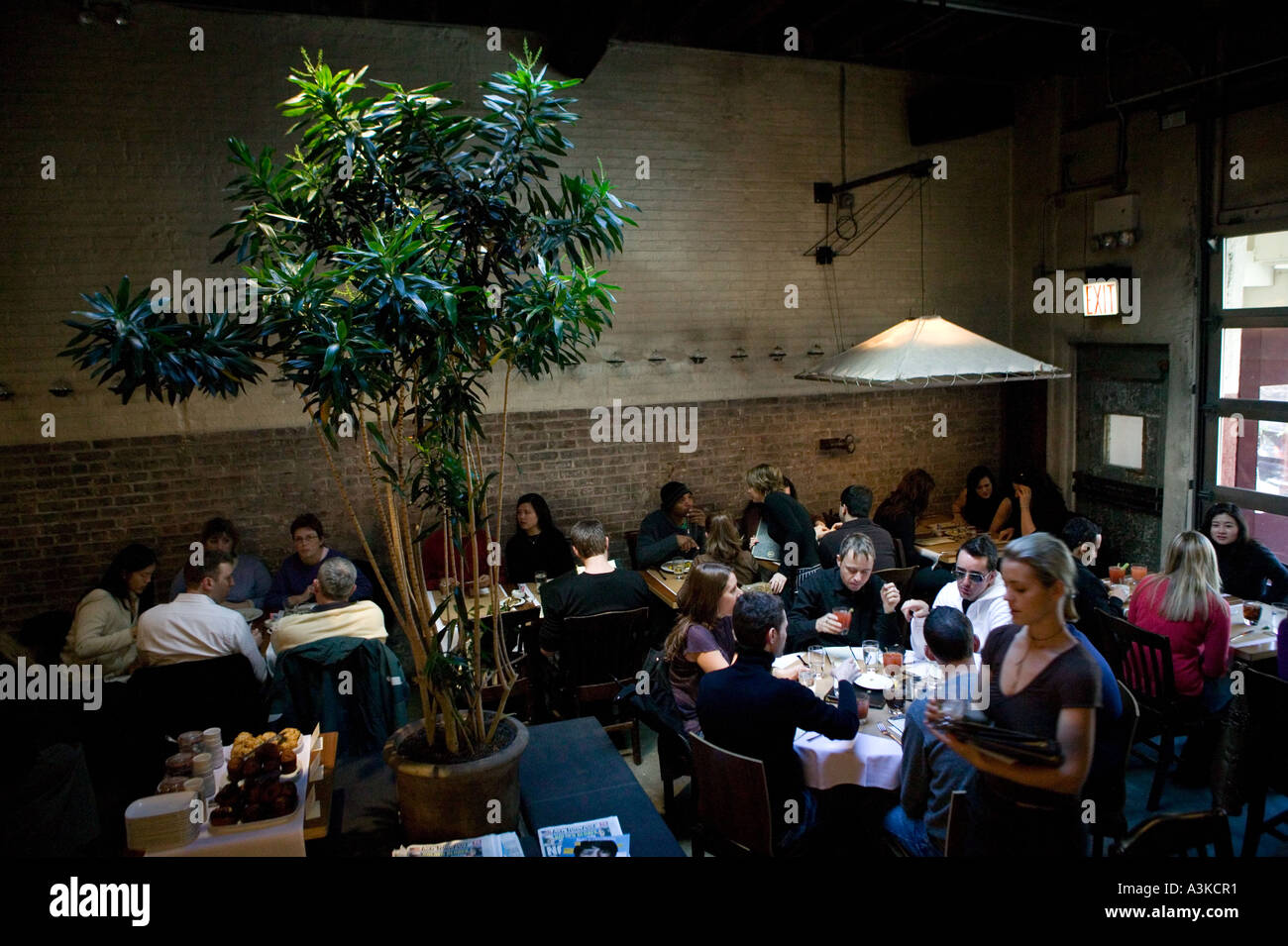 New york public restaurant nolita hi-res stock photography and images ...