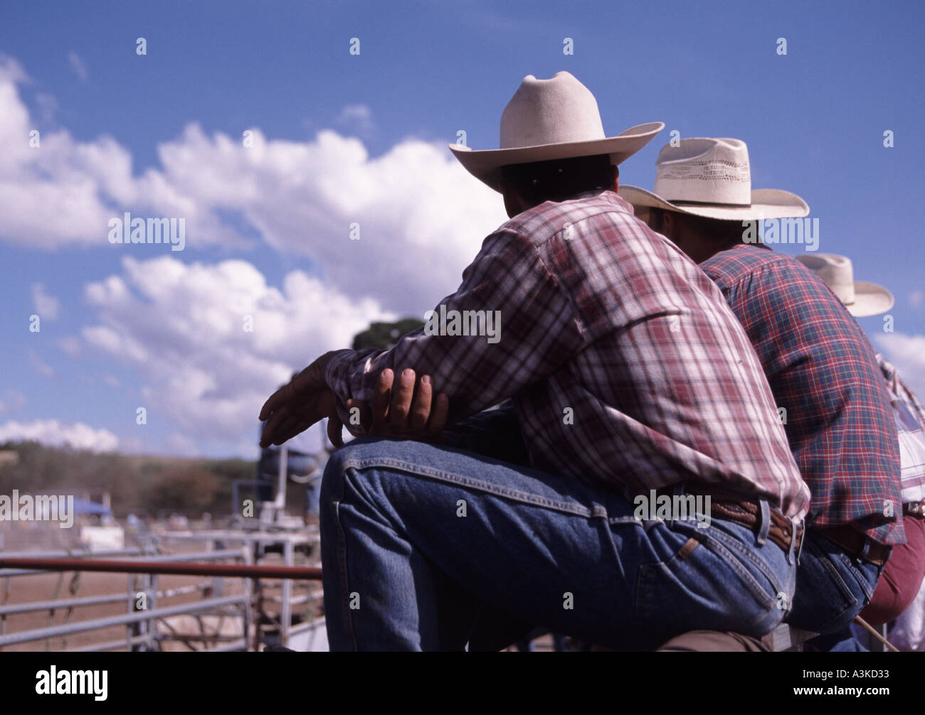 Rodeo. Taralga. New South Wales, Australia Stock Photo - Alamy
