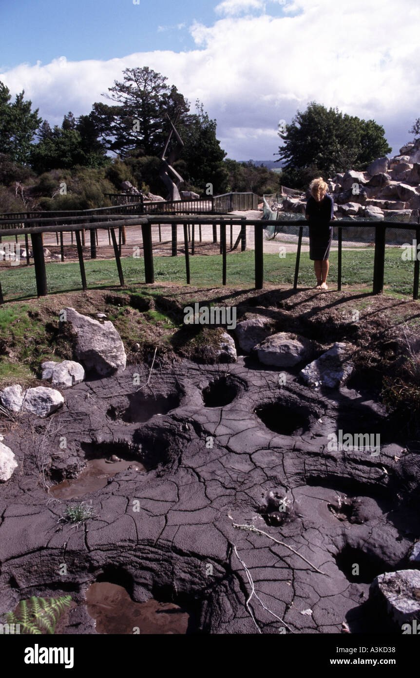 Thermal pools at Rotorua. New Zealand Stock Photo - Alamy