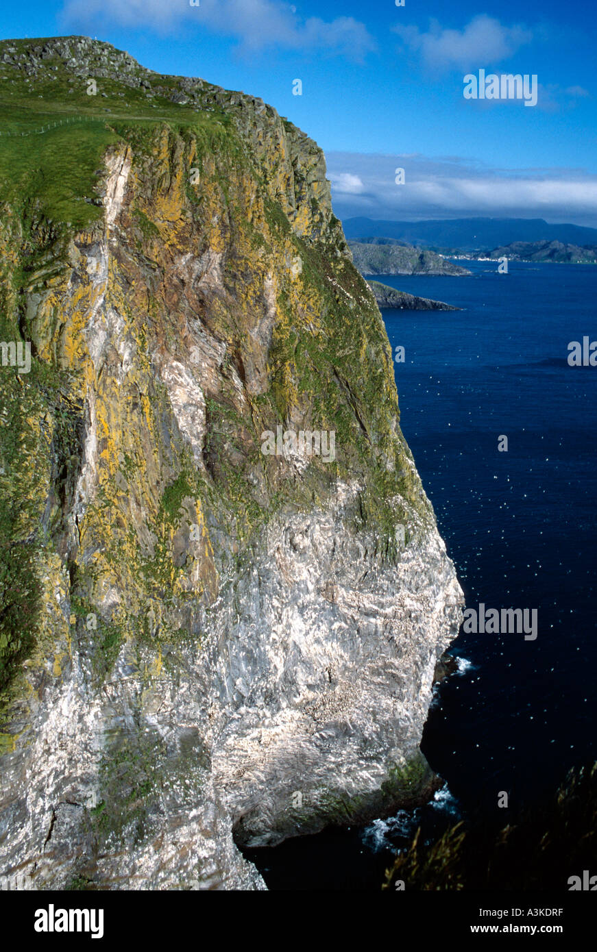Bird cliffs of Runde, Bird Island of Runde, Westcoast, Norway Stock ...