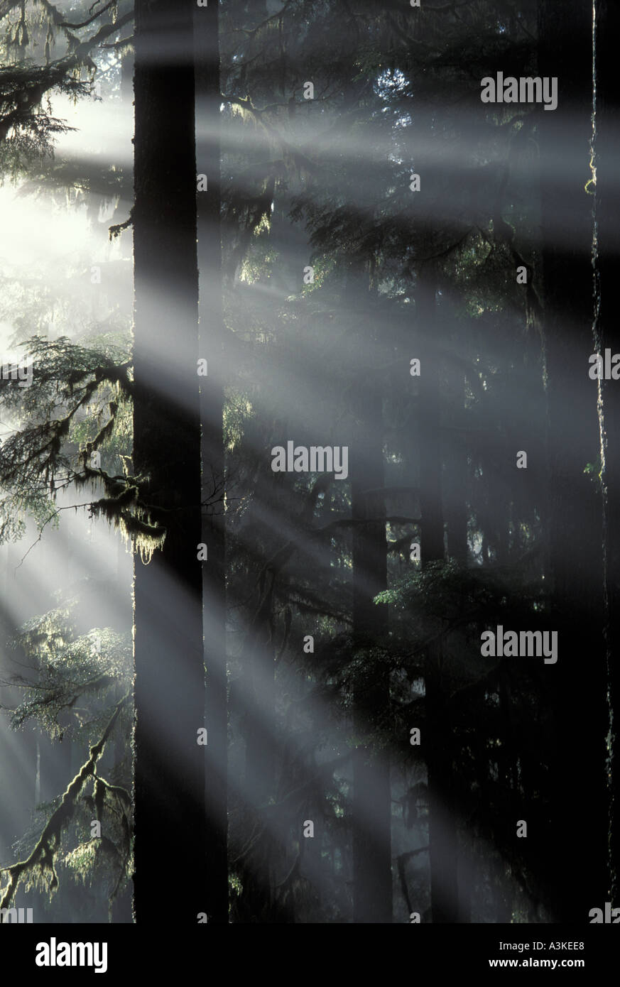 SCIENCE SUN Ray Stock Photo - Alamy