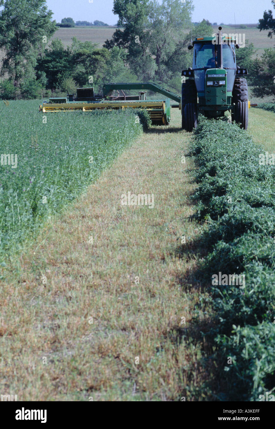 Alfalfa cutting hi-res stock photography and images - Alamy