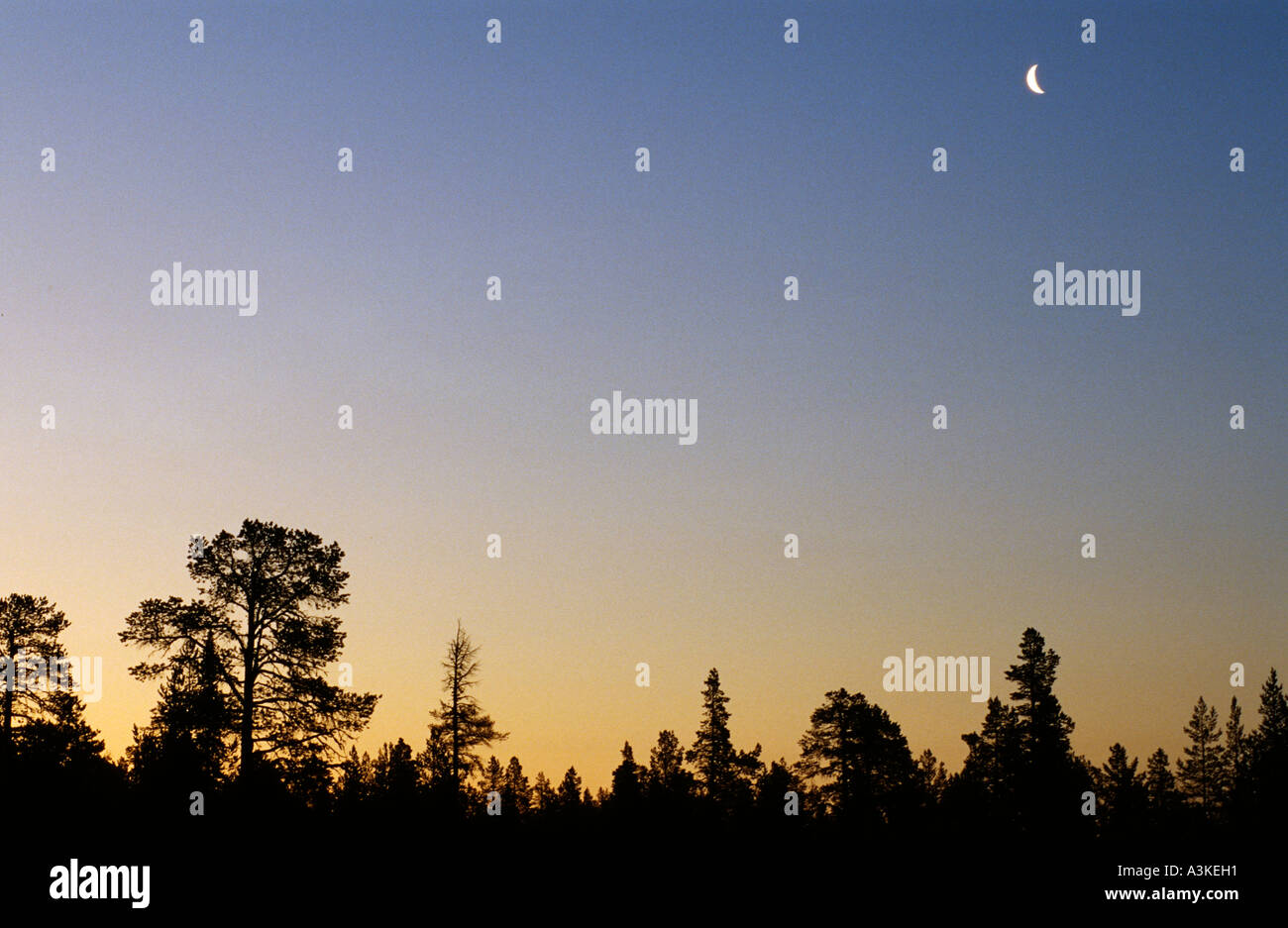 Halfmoon in Swedish Lappland, Sweden Stock Photo - Alamy