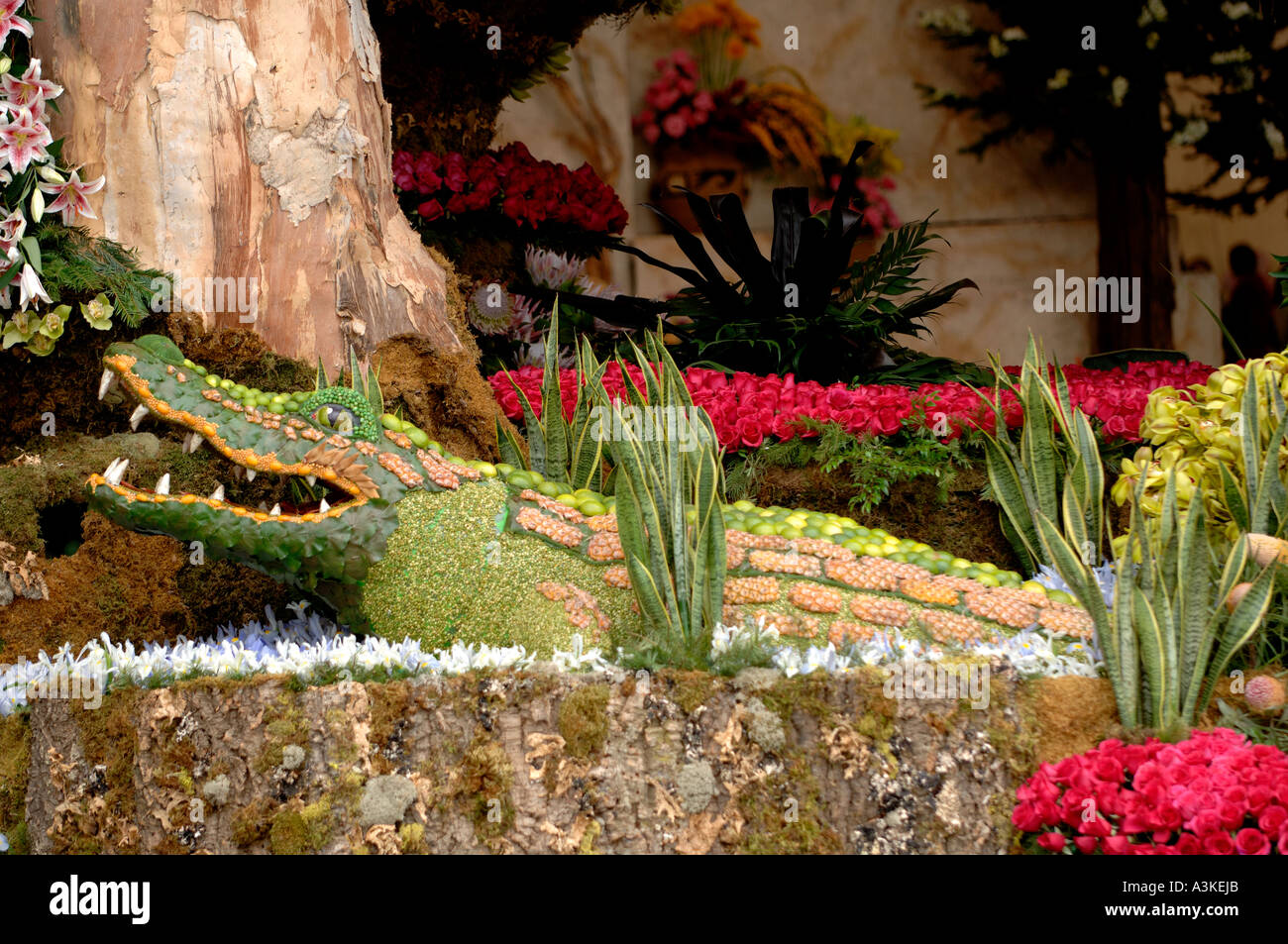 Rose Parade float. Crocodile crafted from textured pineapple skins in ...