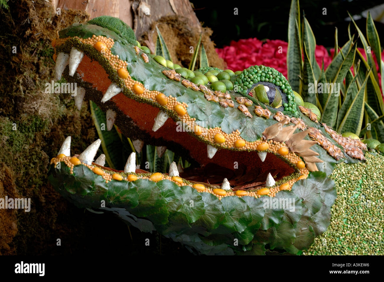 Rose Parade float. Crocodile crafted from textured pineapple skins in ...