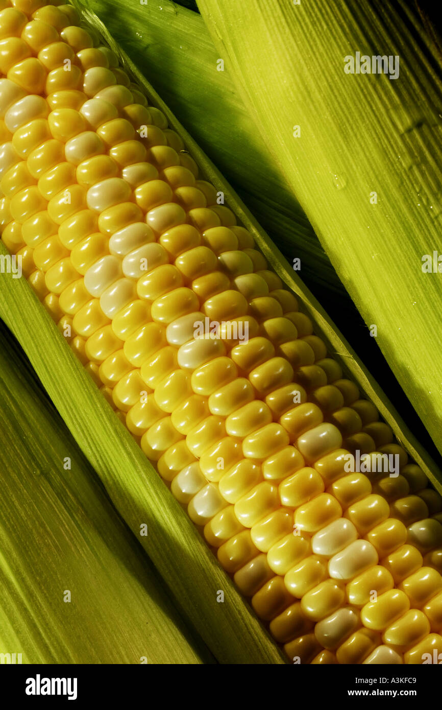 Farmers feed america hi-res stock photography and images - Alamy