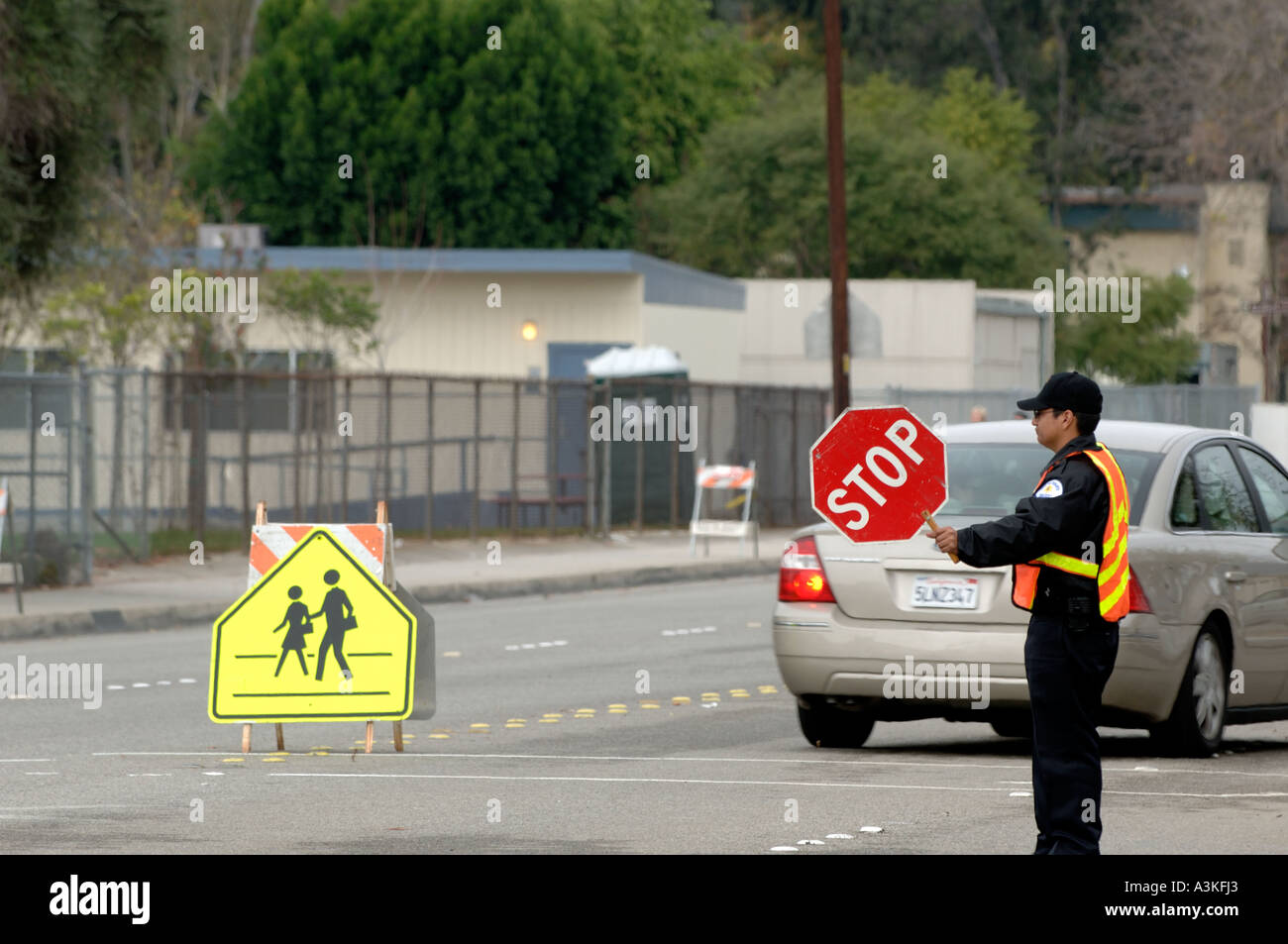School crossing patrol man with stop sign and 'people crossing' sign ...