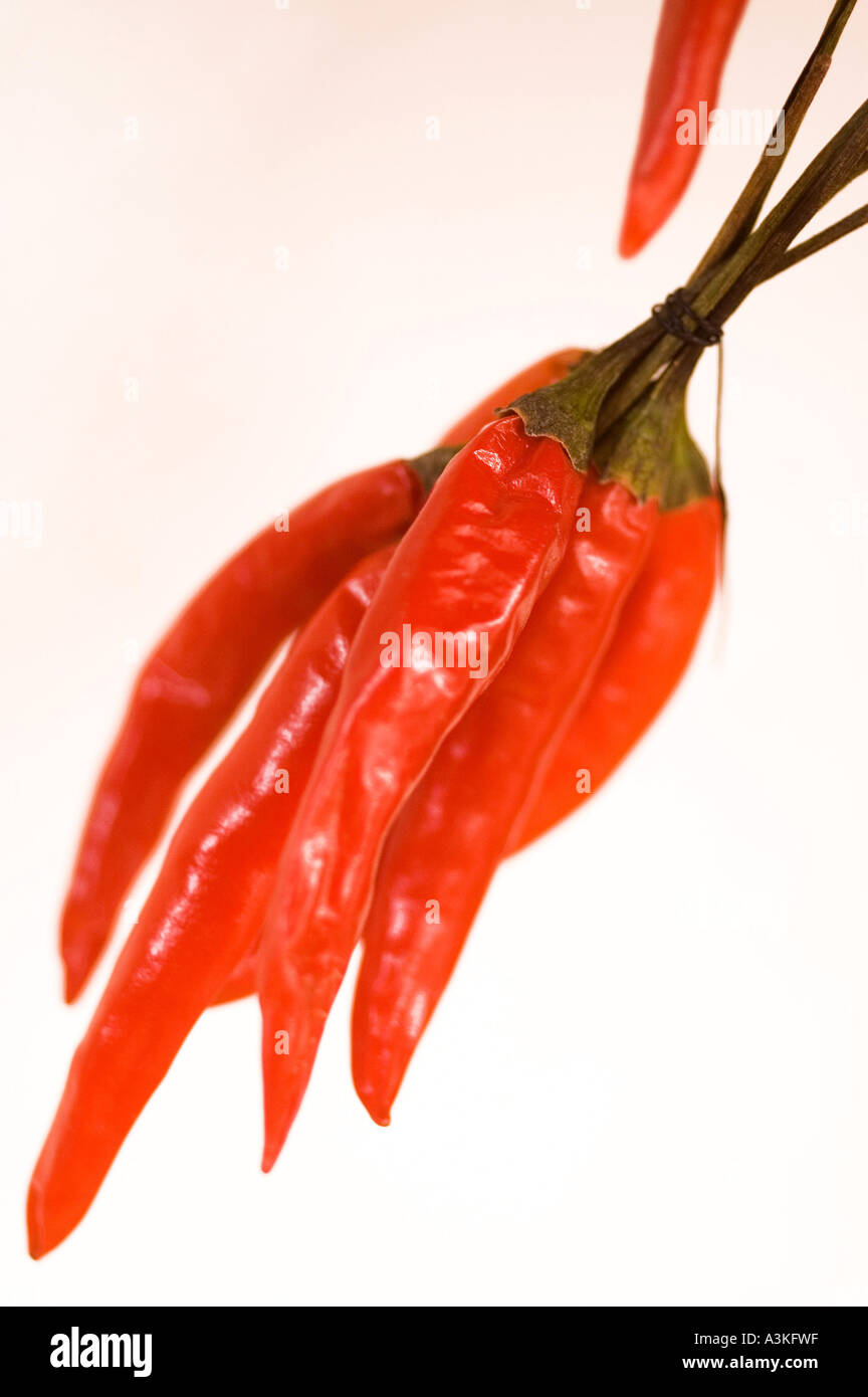 Hot chili paprika pepper hanged on a string for drying Stock Photo - Alamy