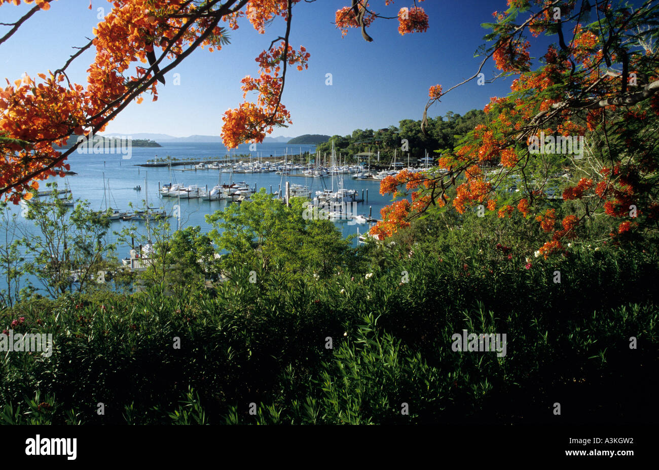 Harbour of Hamilton Island, Whitsunday Islands, Great Barrier Reef ...