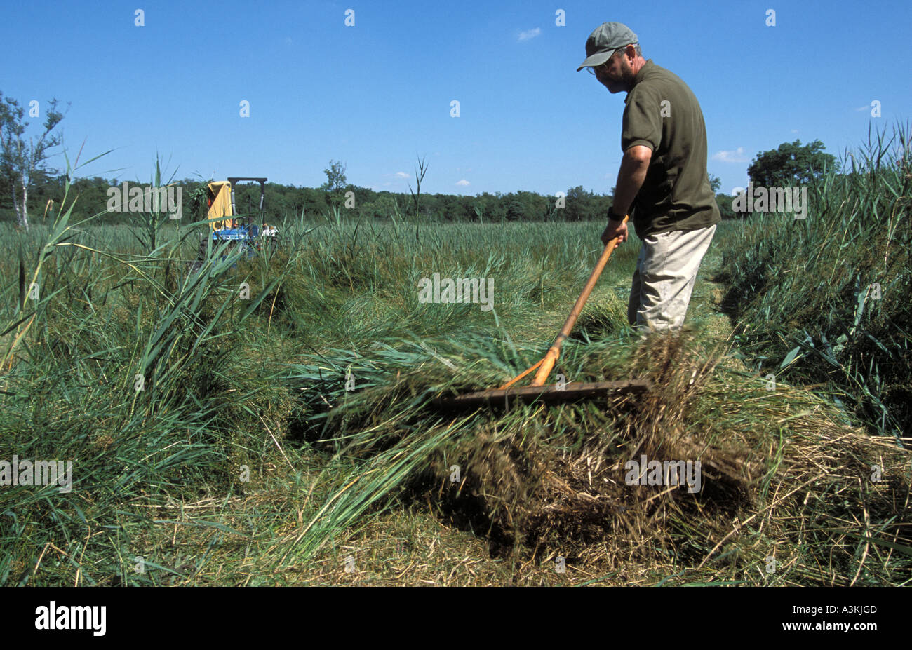 Chippenham fen national nature reserve hi-res stock photography and ...