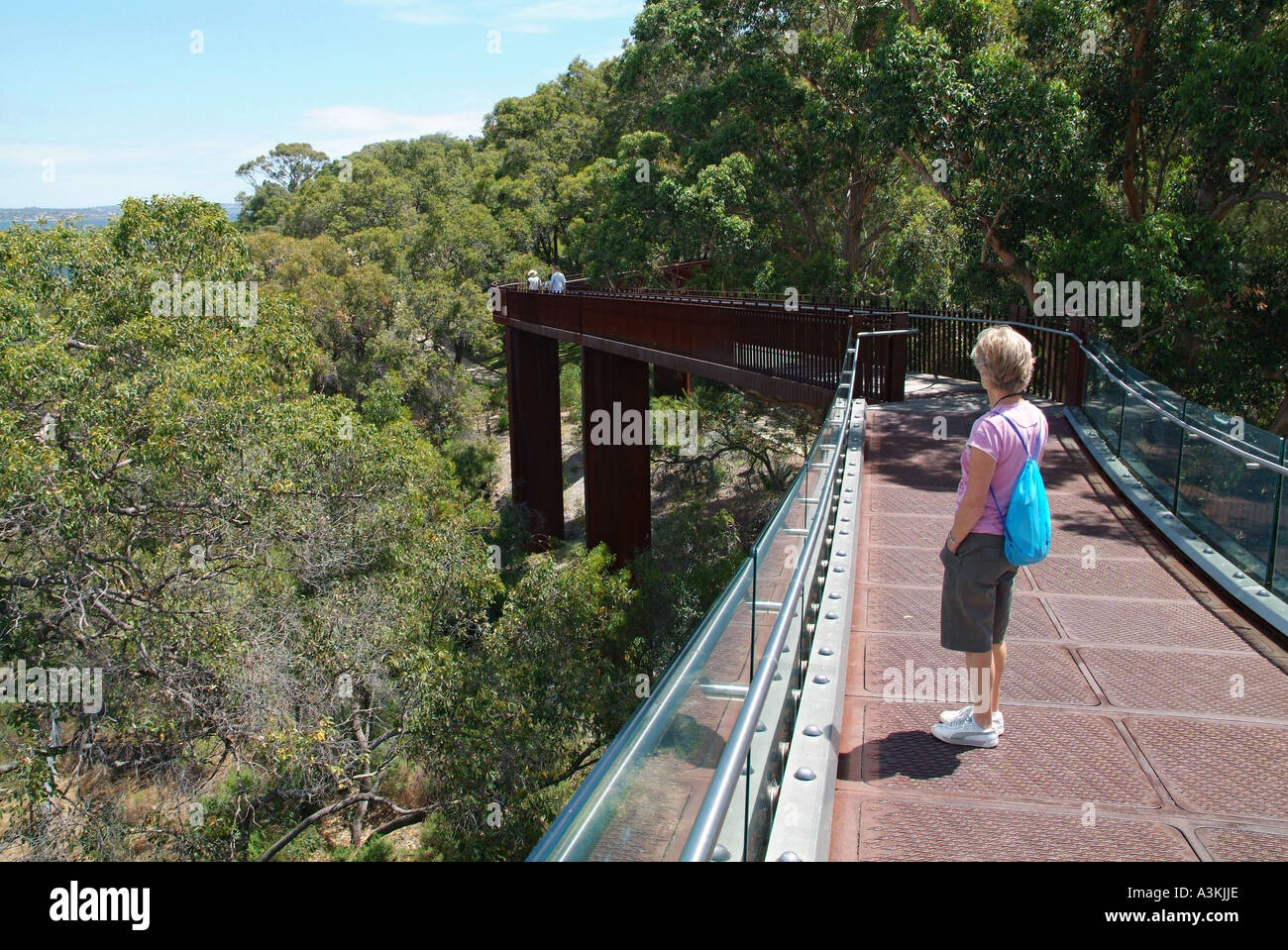 Woman with daypack standing admiring the lush canopy from an elevated ...