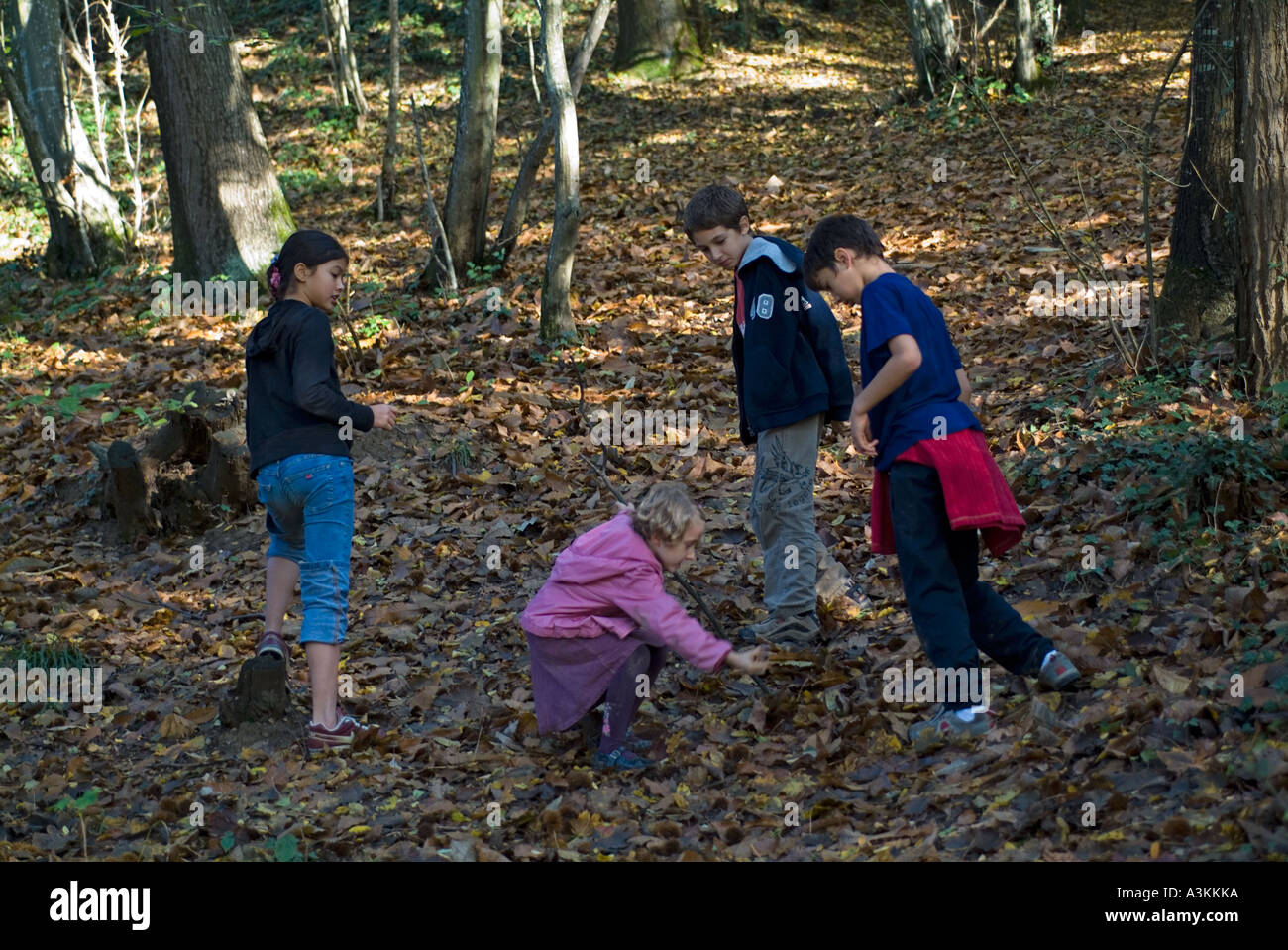 Four children playing in the woods at fall France Stock Photo - Alamy