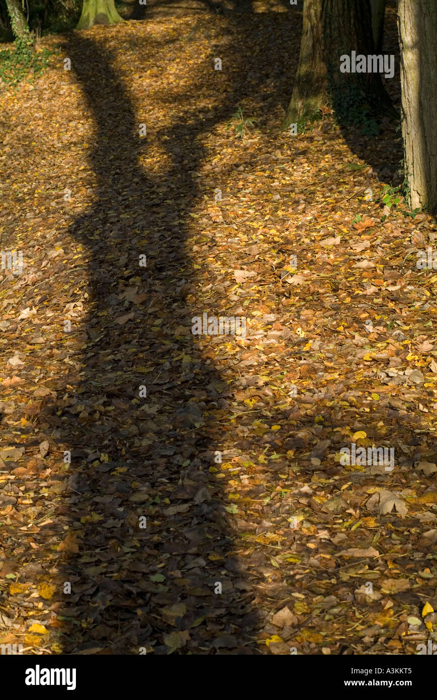 Var1192 hi-res stock photography and images - Alamy