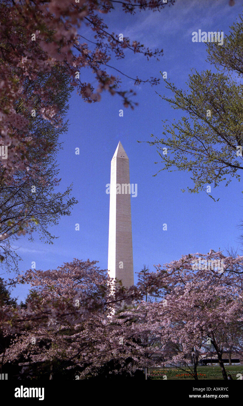 National Monument Washington DC in April Stock Photo - Alamy