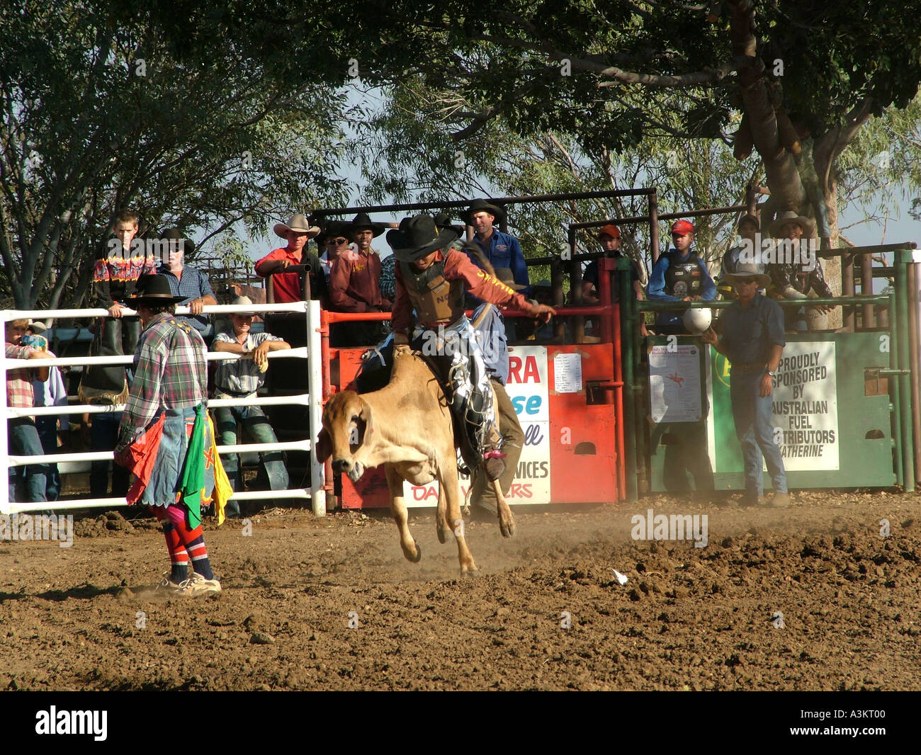Australian outback rodeo Daly Waters Northern Territory Stock Photo - Alamy