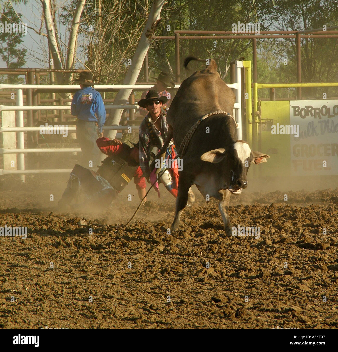 Rodeo Australia outback Mt Isa Queensland Stock Photo - Alamy