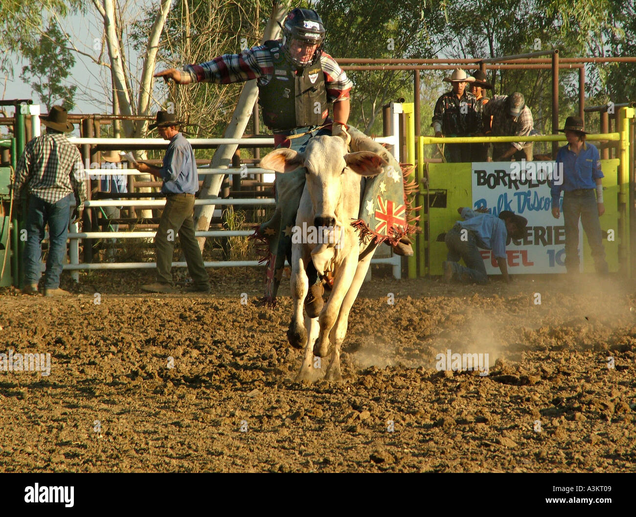 Rodeo Australia outback Mt Isa Queensland Stock Photo - Alamy