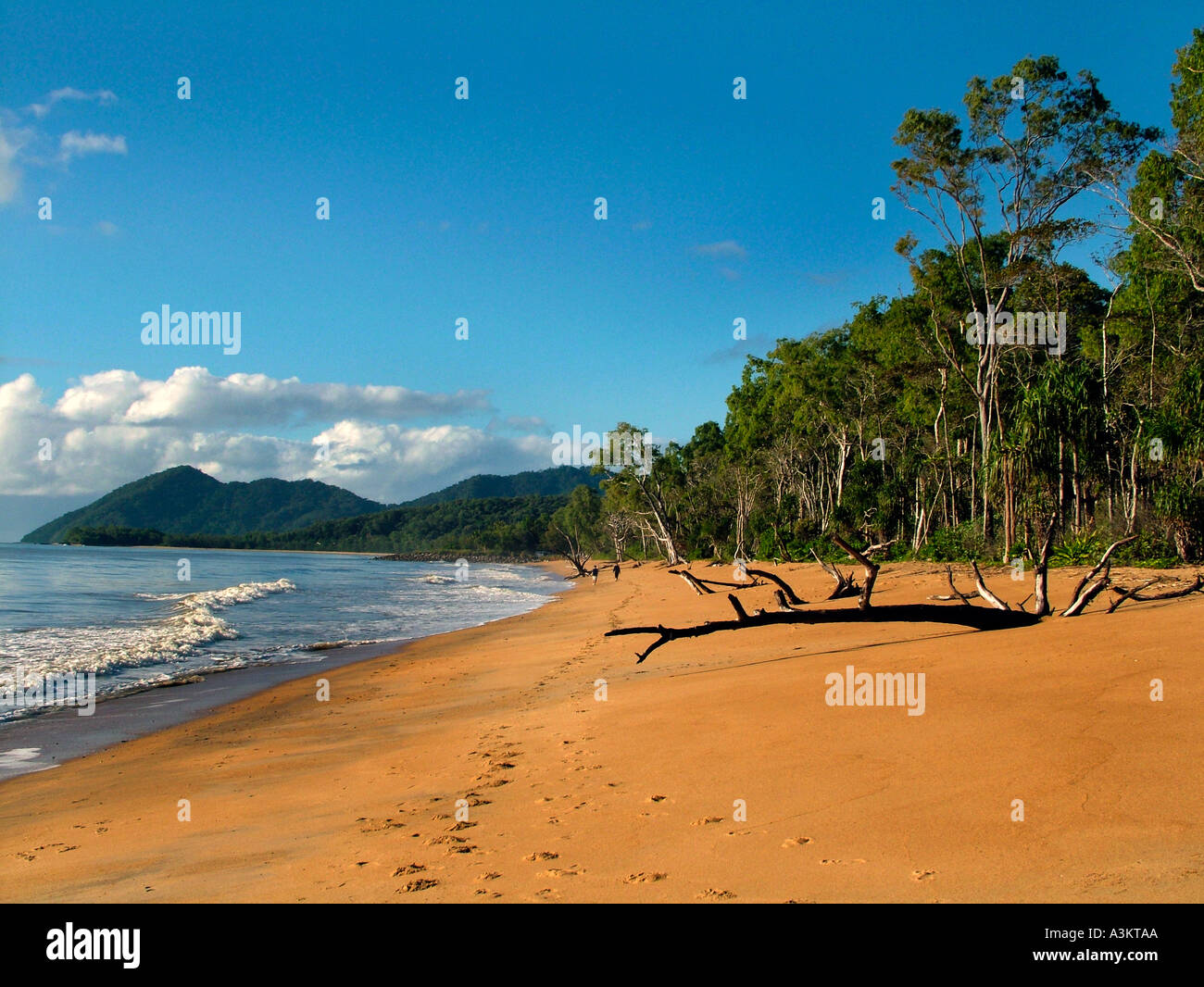 Australian beach scene Queensland Stock Photo - Alamy