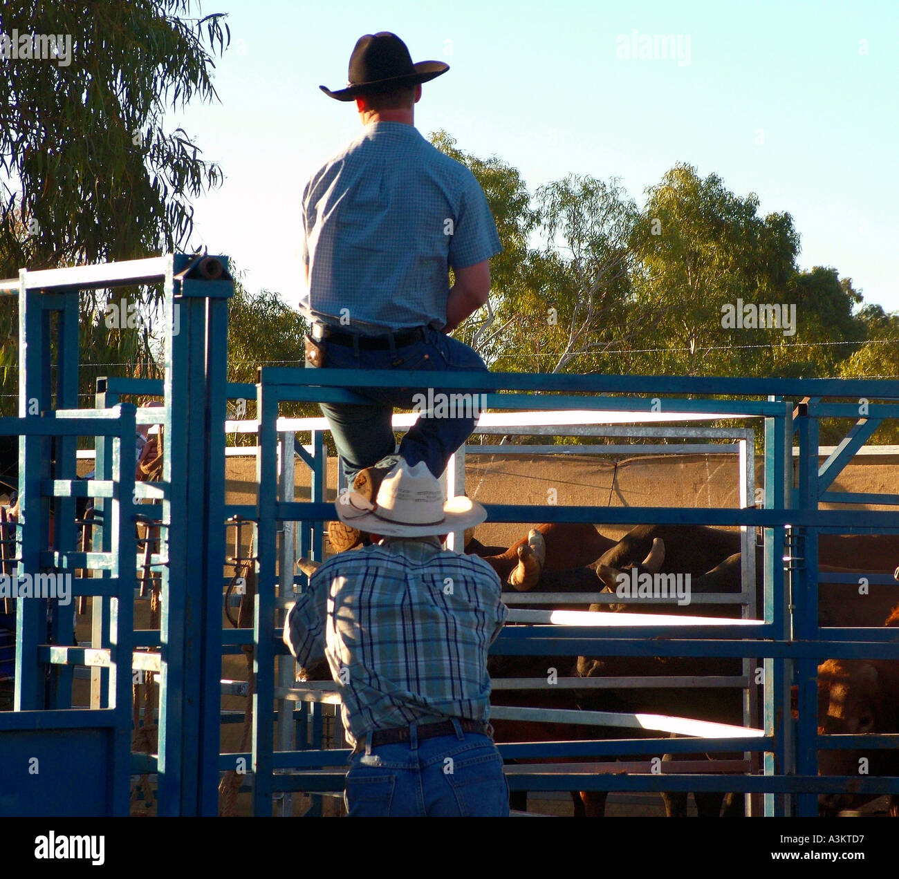 Australian outback rodeo Stock Photo - Alamy
