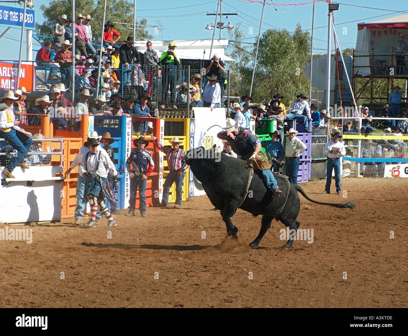 Australian bull riders hi-res stock photography and images - Alamy