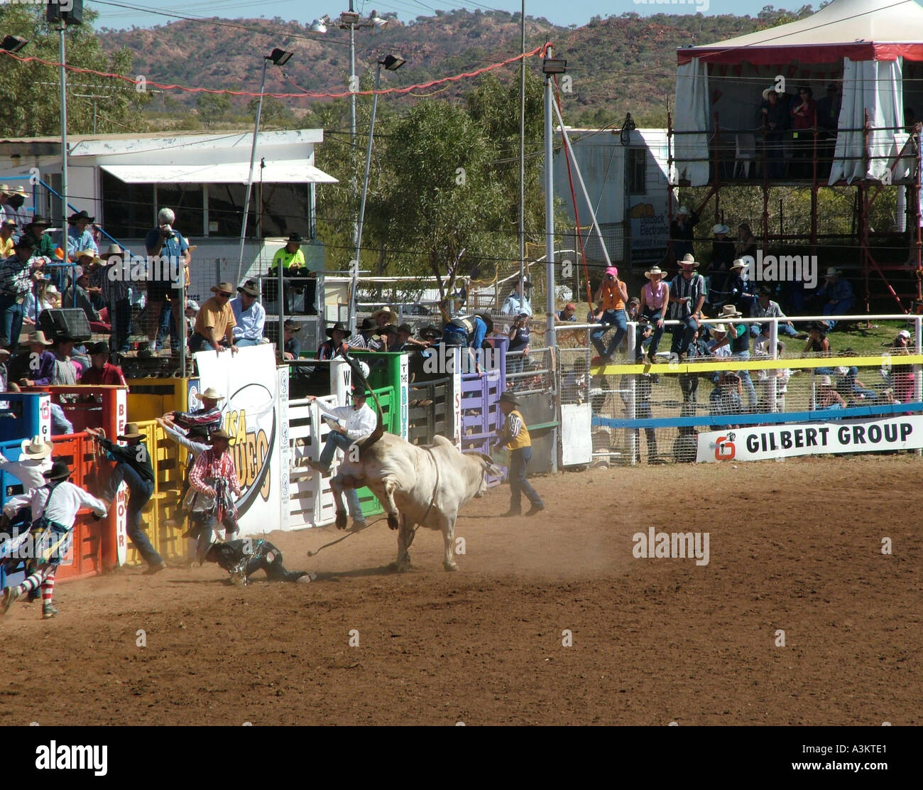 Australian Bull Riders High Resolution Stock Photography and Images - Alamy