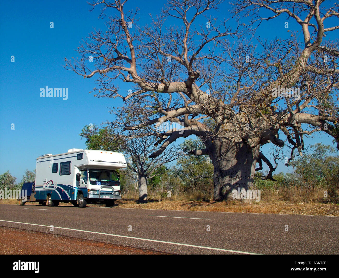 Boab trees and motorhome in Kimberly Australia related to the African ...