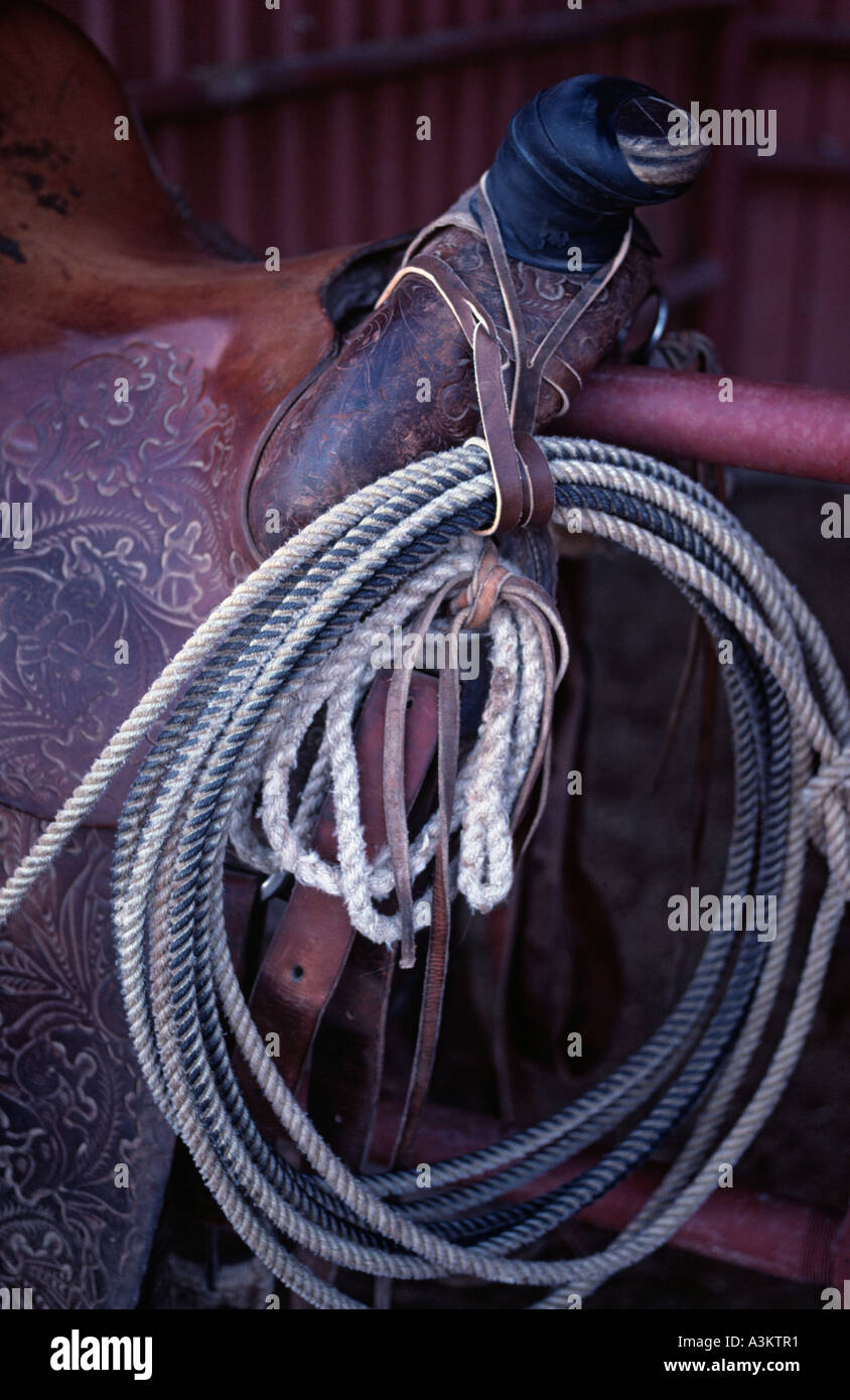 Saddle and lasso on a railing Stock Photo - Alamy