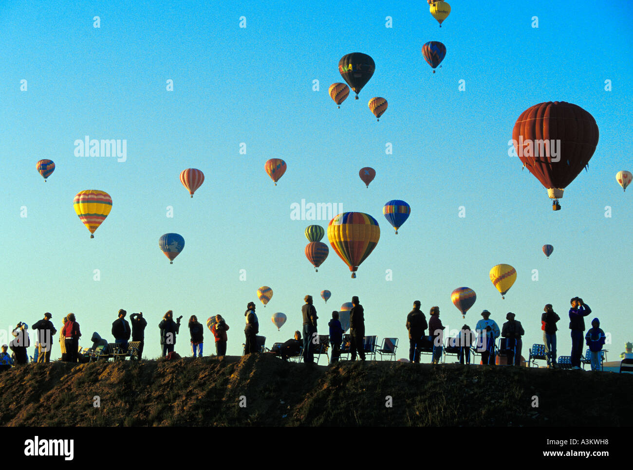 Hot air balloons ascending into a perfect blue sky at the Albuquerque ...