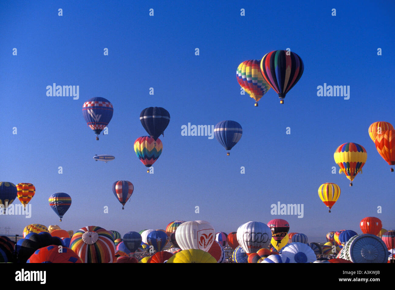 Hot air balloons ascending into a perfect blue sky at the Albuquerque ...