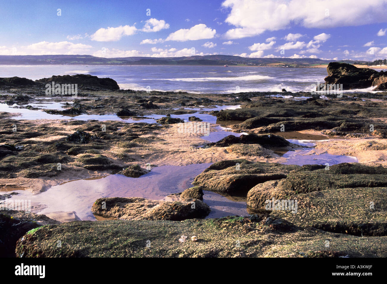 Orcombe rocks devon hi-res stock photography and images - Alamy