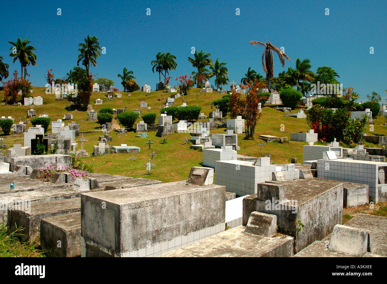 Graves in the Cemetery in Puerto Limon Costa Rica Central America Stock ...