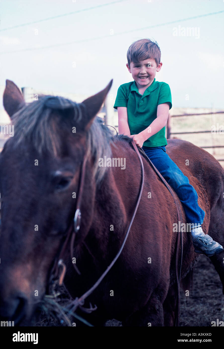 Little boy and horse hi-res stock photography and images - Alamy