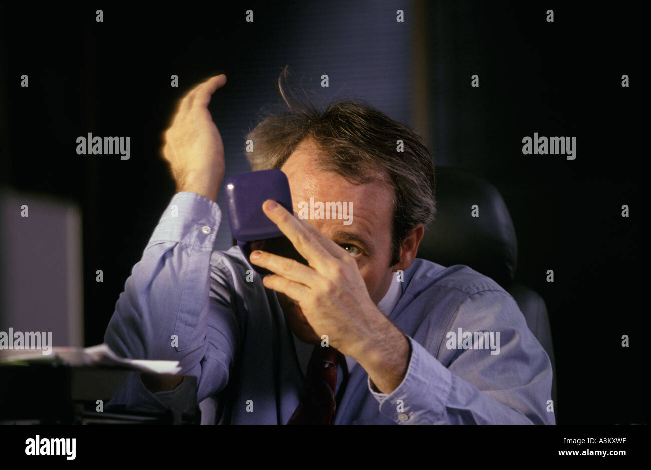 Primp and preen hi-res stock photography and images - Alamy