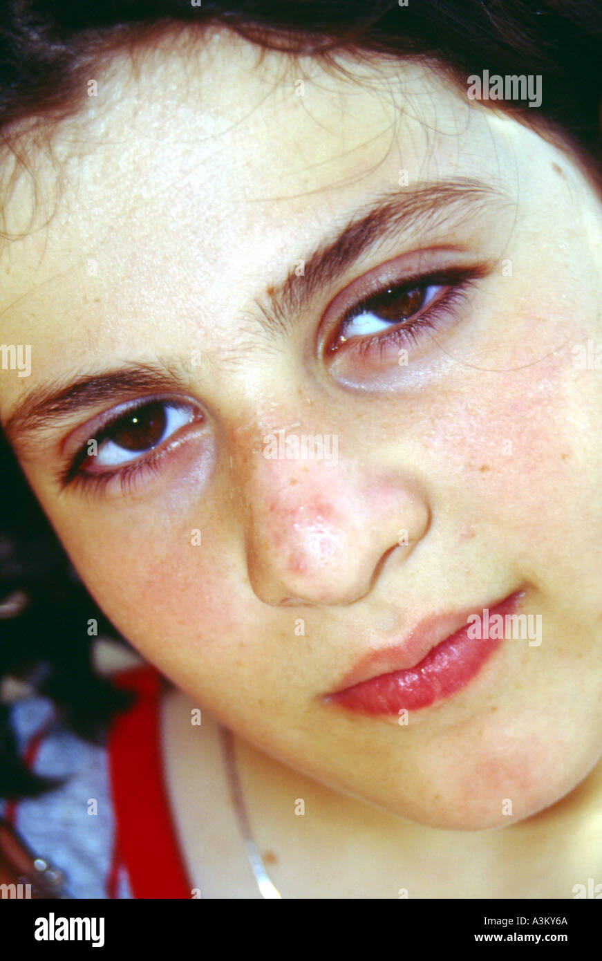 face off lebanon Stock Photo - Alamy