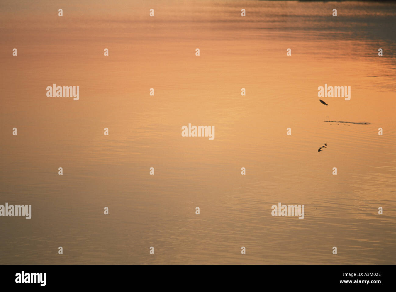 Japan glow night door hi-res stock photography and images - Alamy