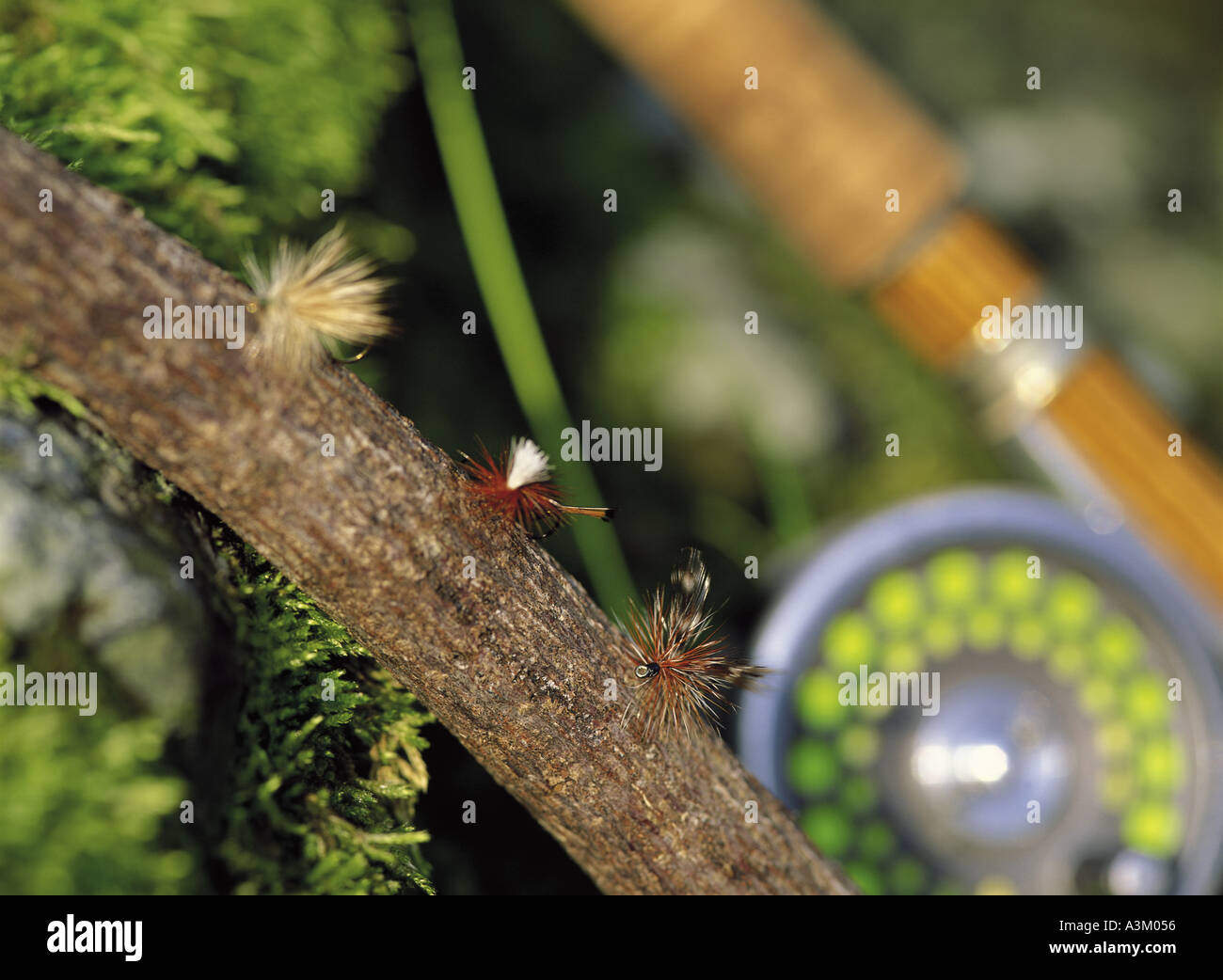 Recreations pastimes hi-res stock photography and images - Alamy