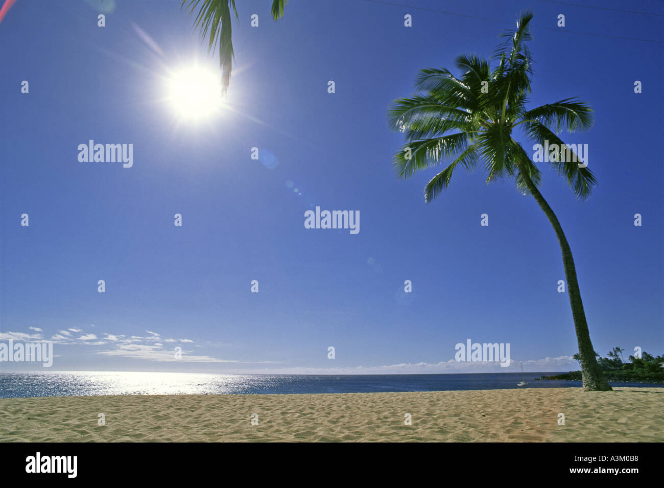 Sun and Beach Stock Photo - Alamy