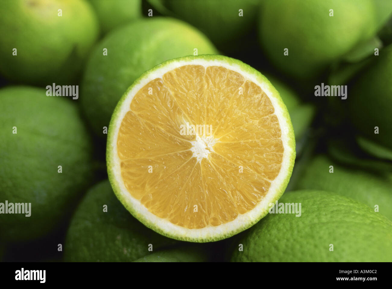 Food closeups lime hi-res stock photography and images - Alamy