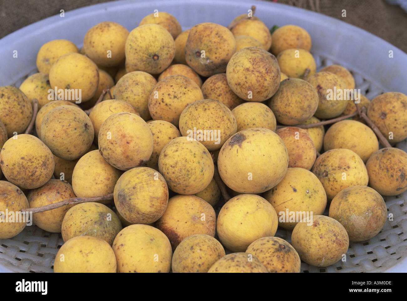 Duku fruits hi-res stock photography and images - Alamy