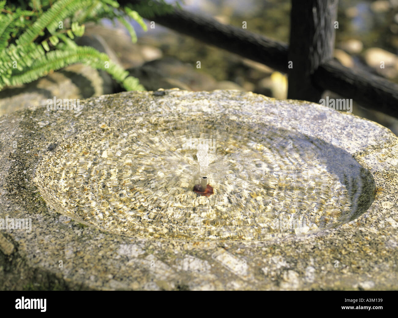 Wet spring days hi-res stock photography and images - Alamy