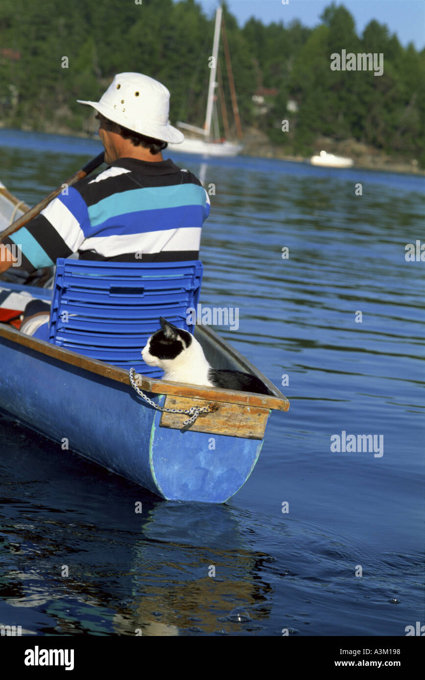 Kayak with a cat Canada Stock Photo - Alamy