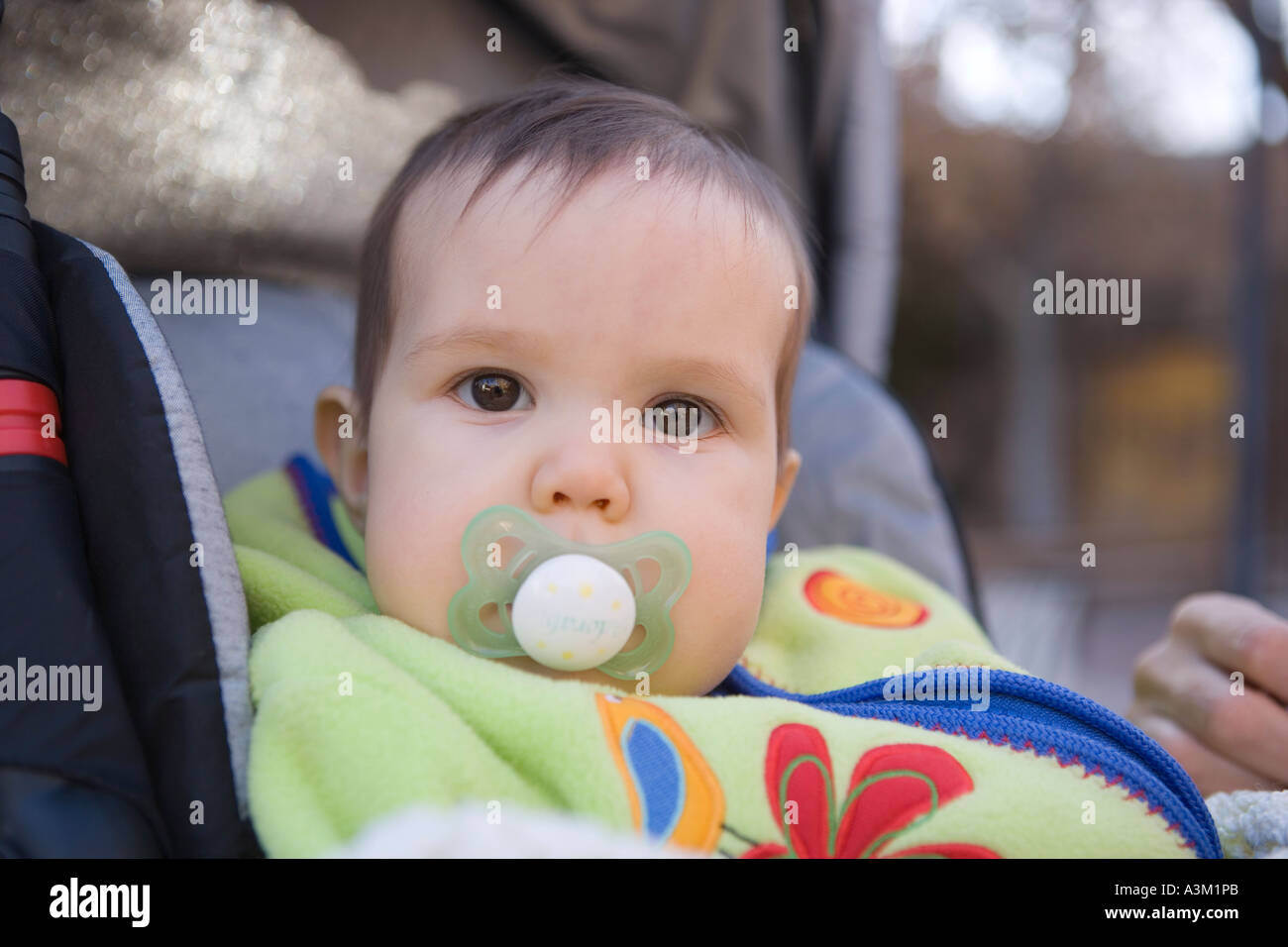 six month old infant with pacifier in mouth outdoors Stock Photo - Alamy