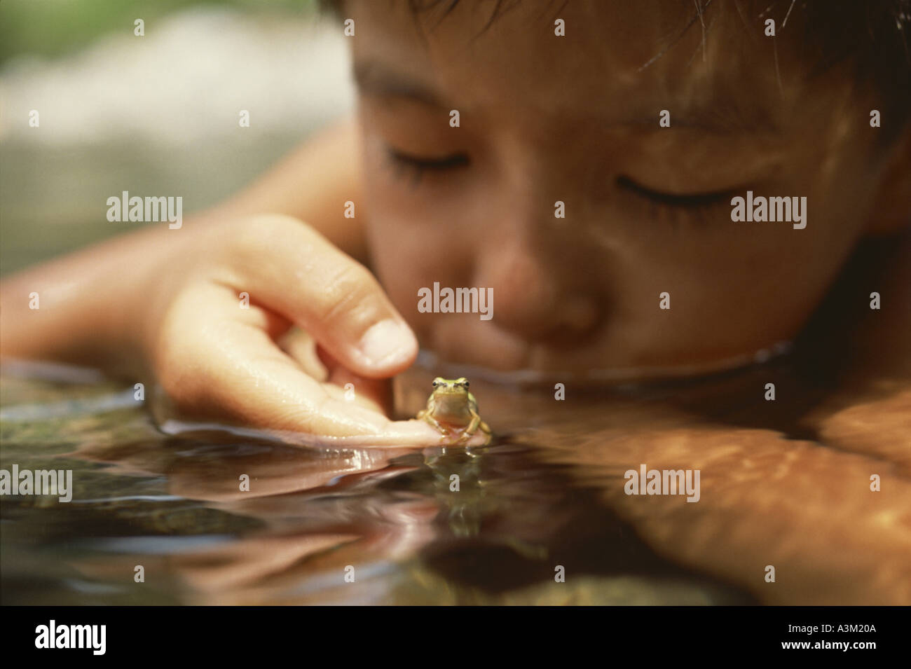 Frog and a boy Japan Stock Photo - Alamy