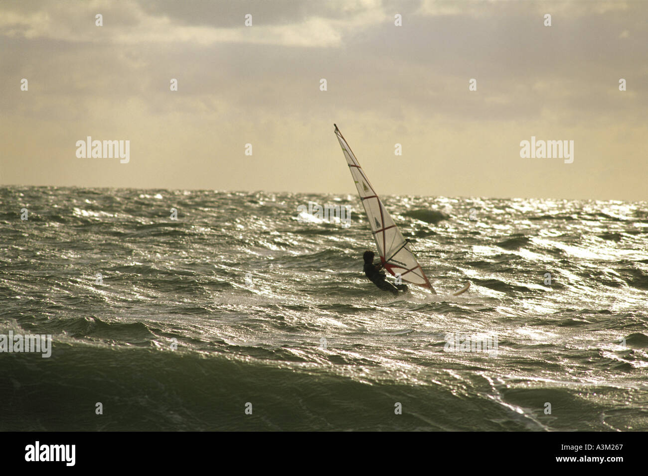 Persons windsurfing hi-res stock photography and images - Alamy