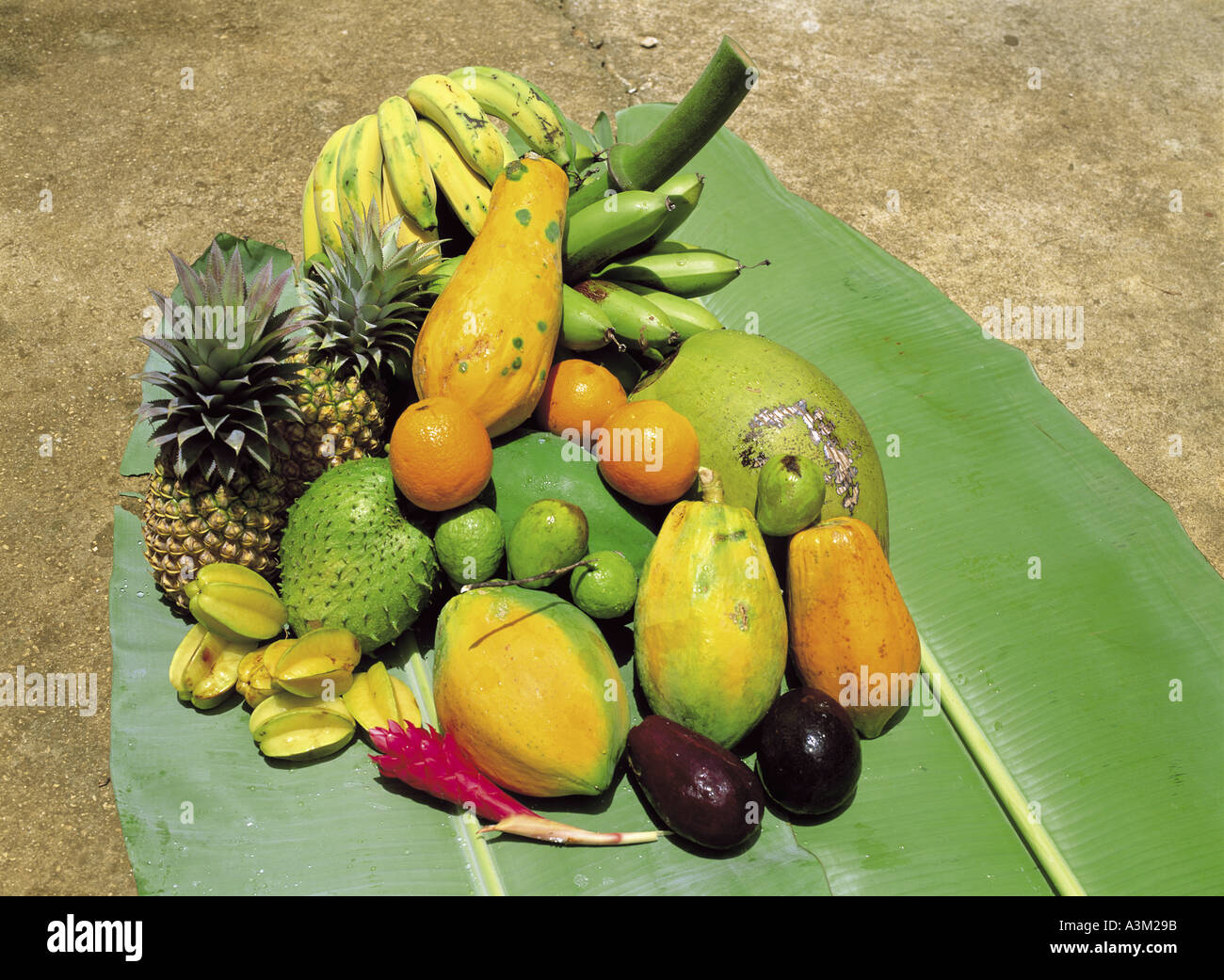 Tropical fruits Rota Island Marianas Stock Photo - Alamy