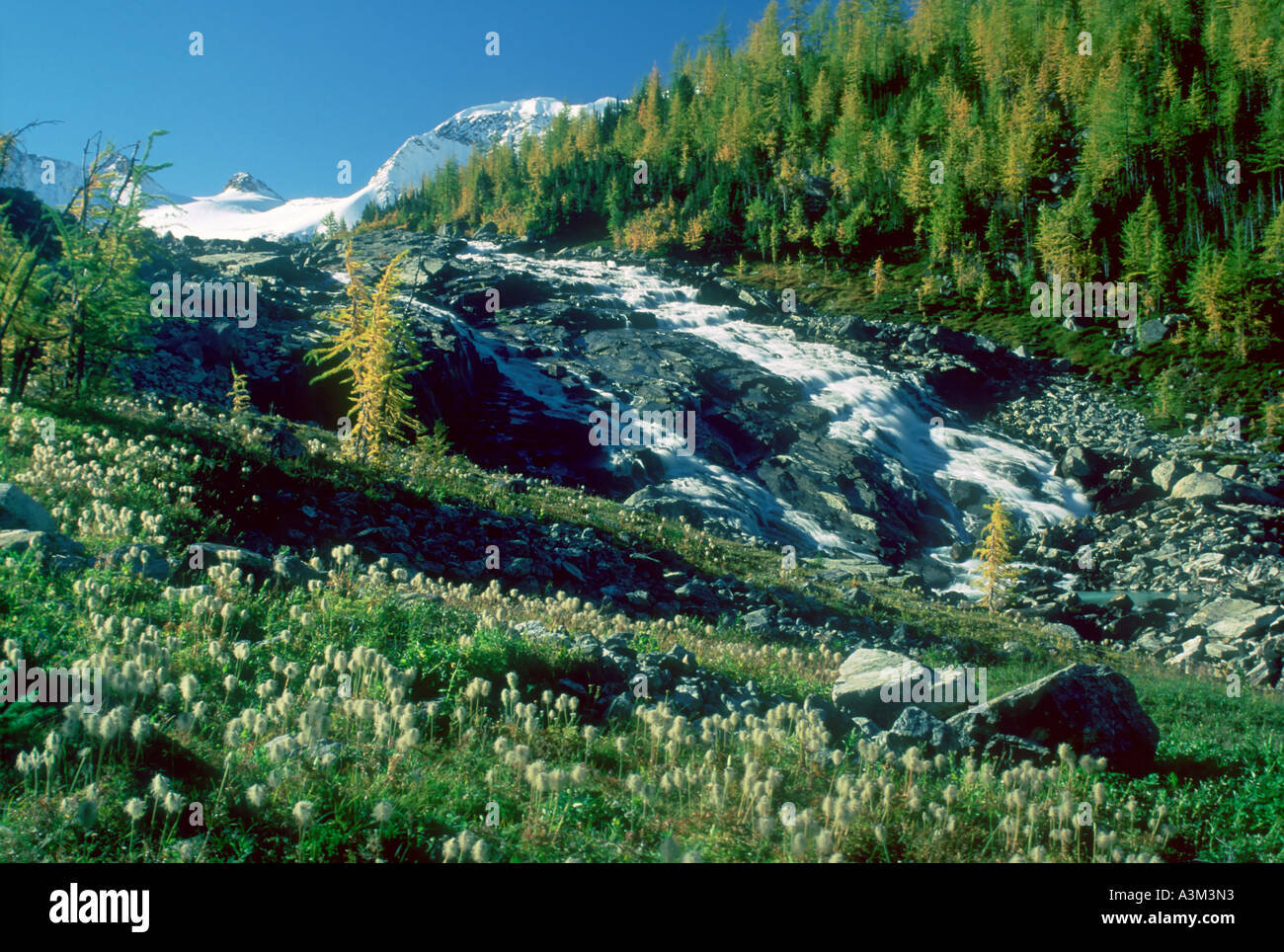 Horsethief Creek cascades below Lake of the Hanging Glacier in the ...