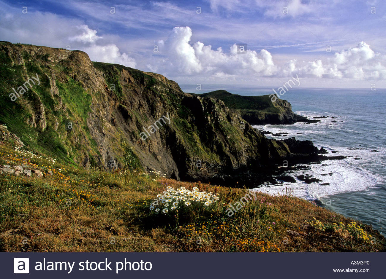 Ersion High Resolution Stock Photography and Images - Alamy