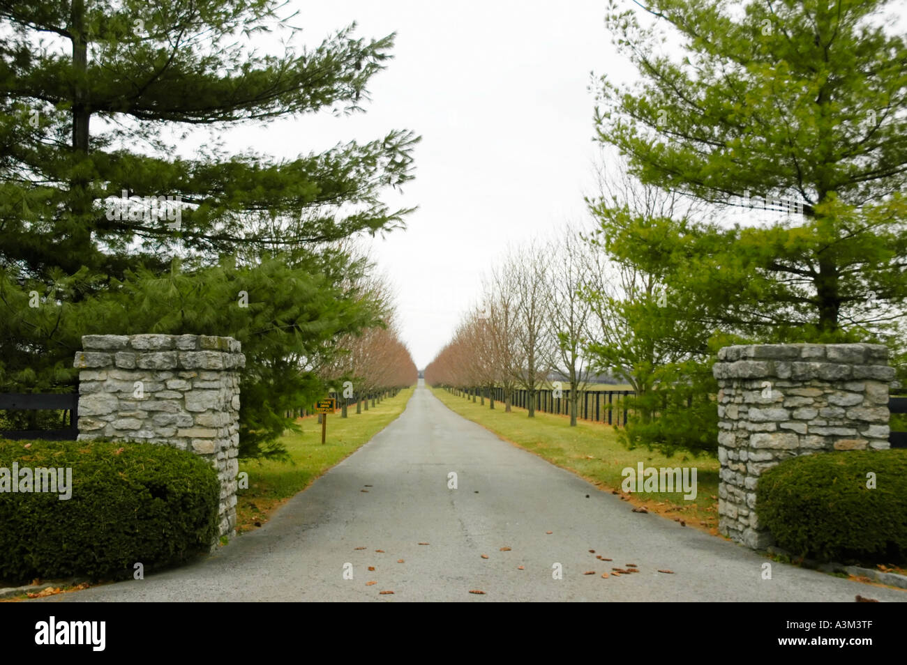 Long driveway hi-res stock photography and images - Alamy