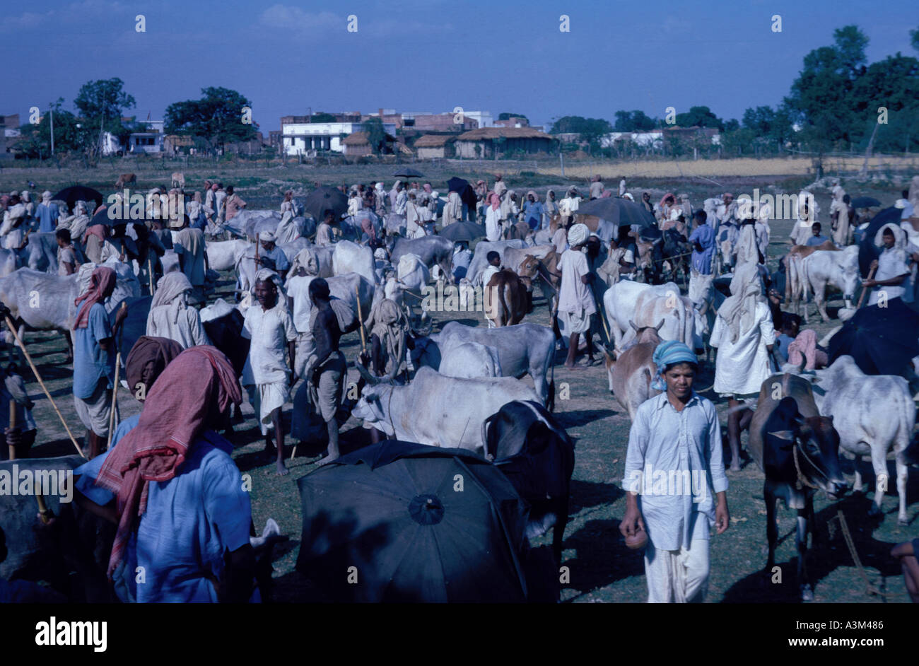 ASIA INDIA Raxaul Stock Photo - Alamy